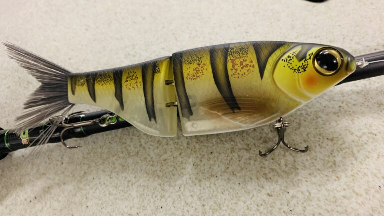 Mastering Glide Baits: A Guide to Hooking Trophy-Sized Largemouth Bass ...